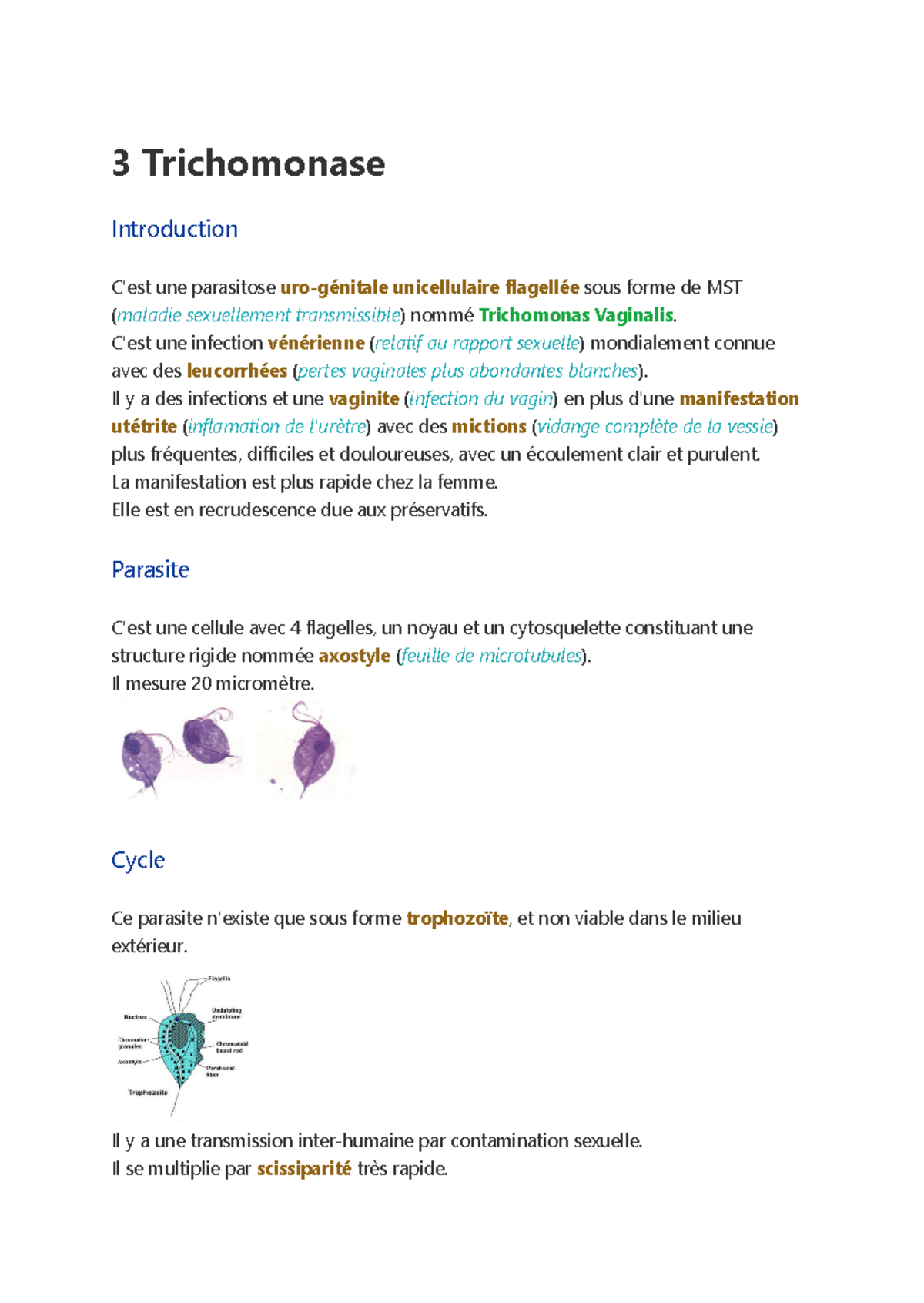 3 Trichomonase - Résumé Parasitologie - 3 Trichomonase Introduction C ...