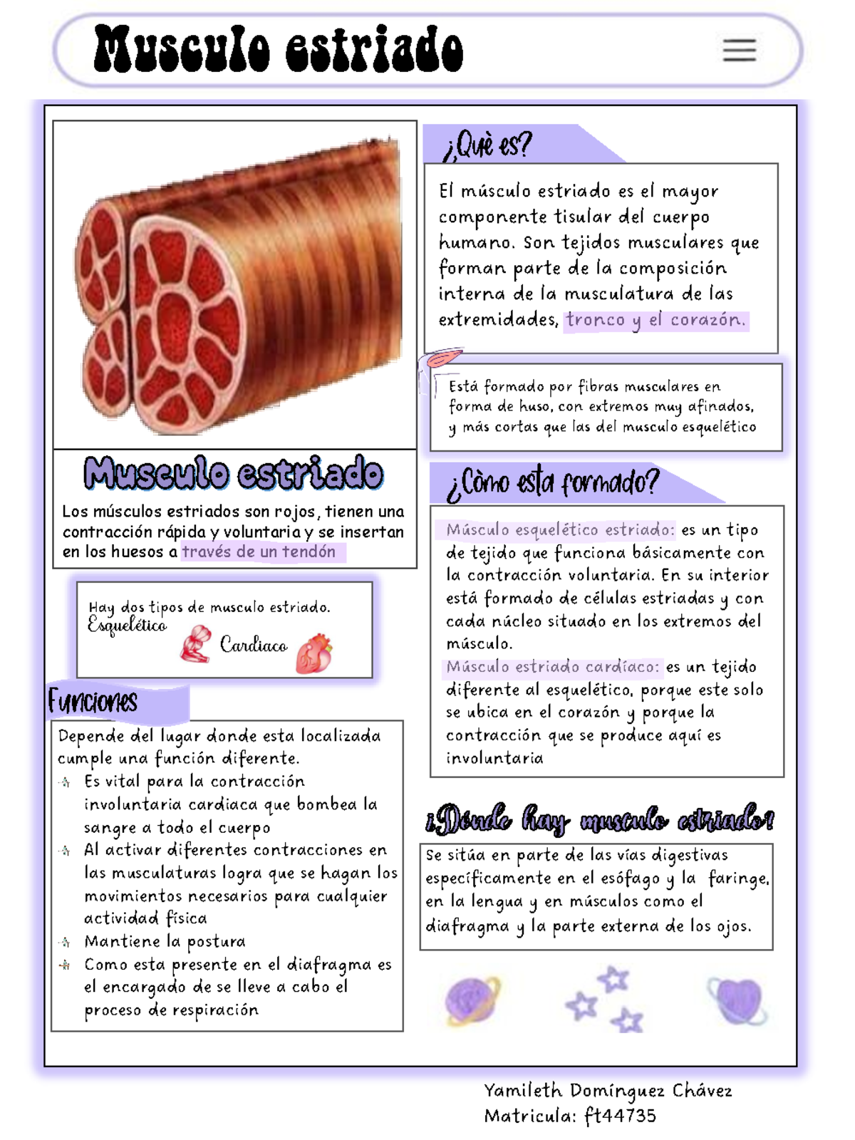 Infografia musculo estriado - Hay dos tipos de musculo estriado ...