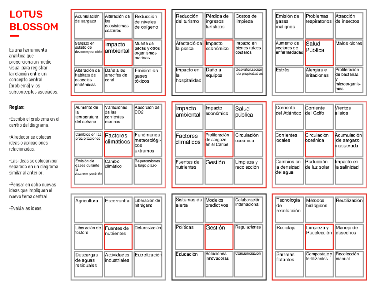 Toolkit ACT8 - lotus blossom - Empatia para resolver - LOTUS BLOSSOM Es ...