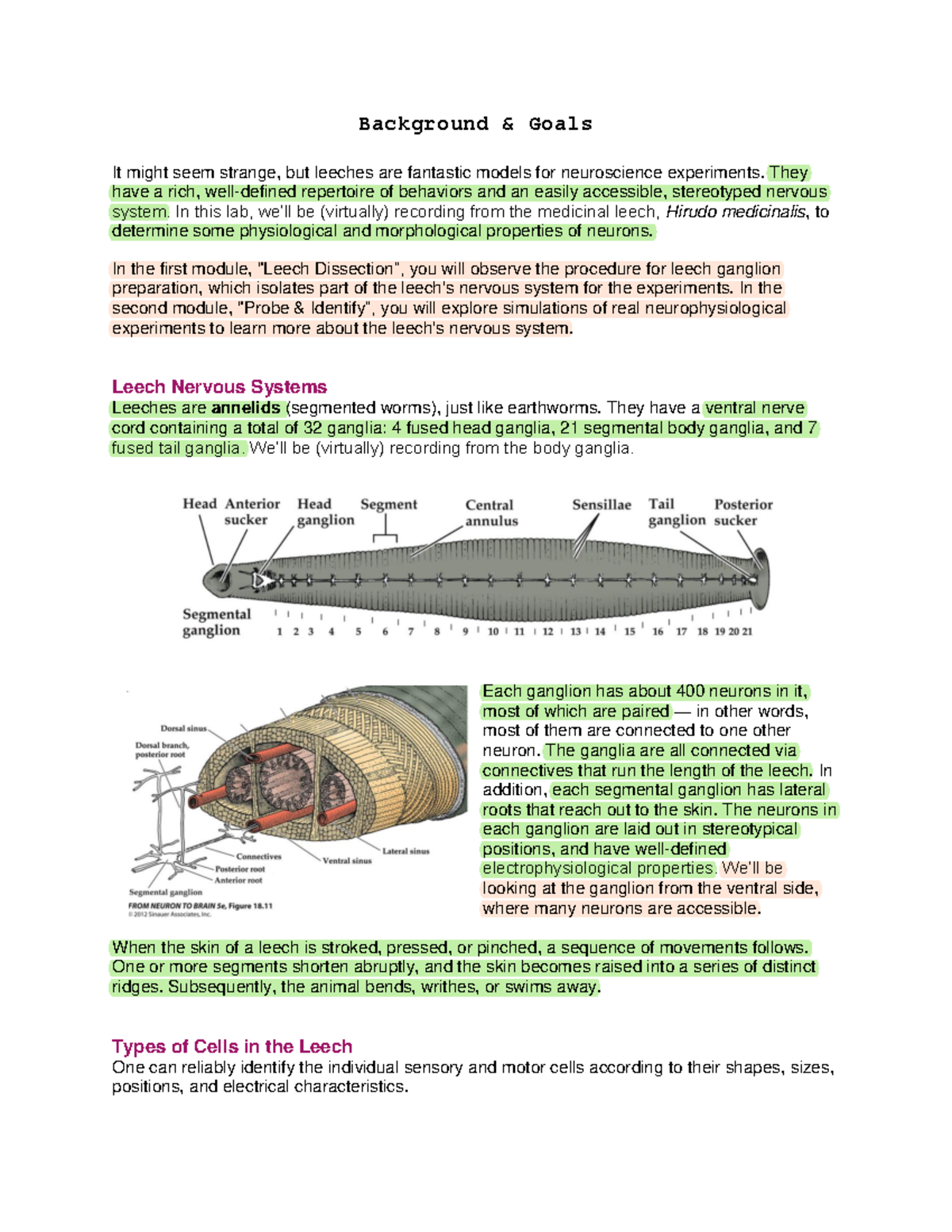 NROB61 Leech Lab Background - Background & Goals It might seem strange ...