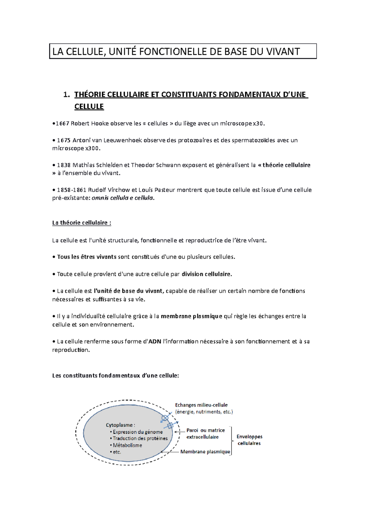 Chapitre 2 : La cellule - LA CELLULE, UNITÉ FONCTIONELLE DE BASE DU ...