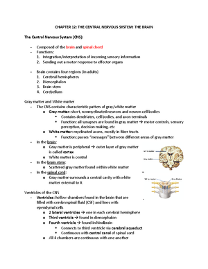 Human Anatomy And Physiology I BIOL 251 Exam Final - 11/12/ Chapter 14 ...