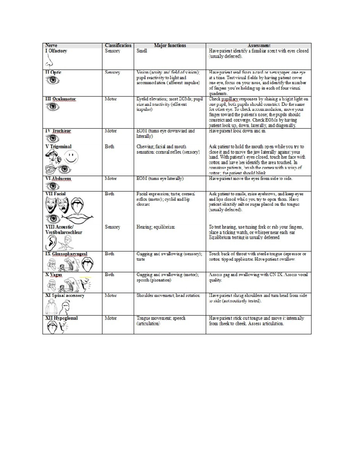 2016-Anatomical Kinesiology-Cranial Nerves - KINE 10603 - Studocu