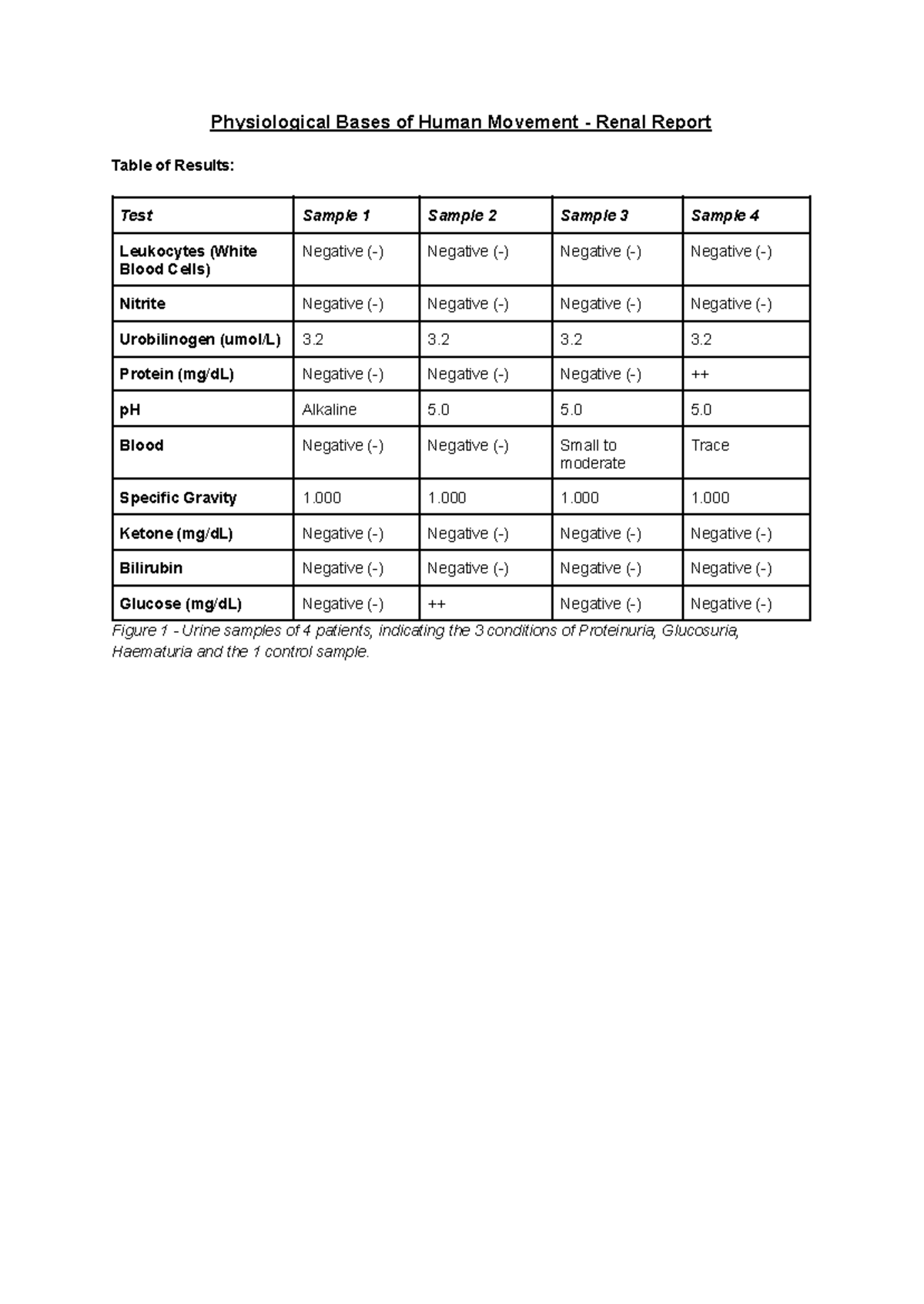Renal Report - Physiological Bases of Human Movement - Renal Report ...