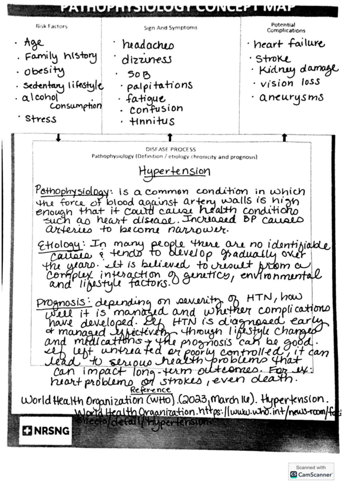 HTN Concept Map - Assignments - Risk Factors Potential Sign And ...