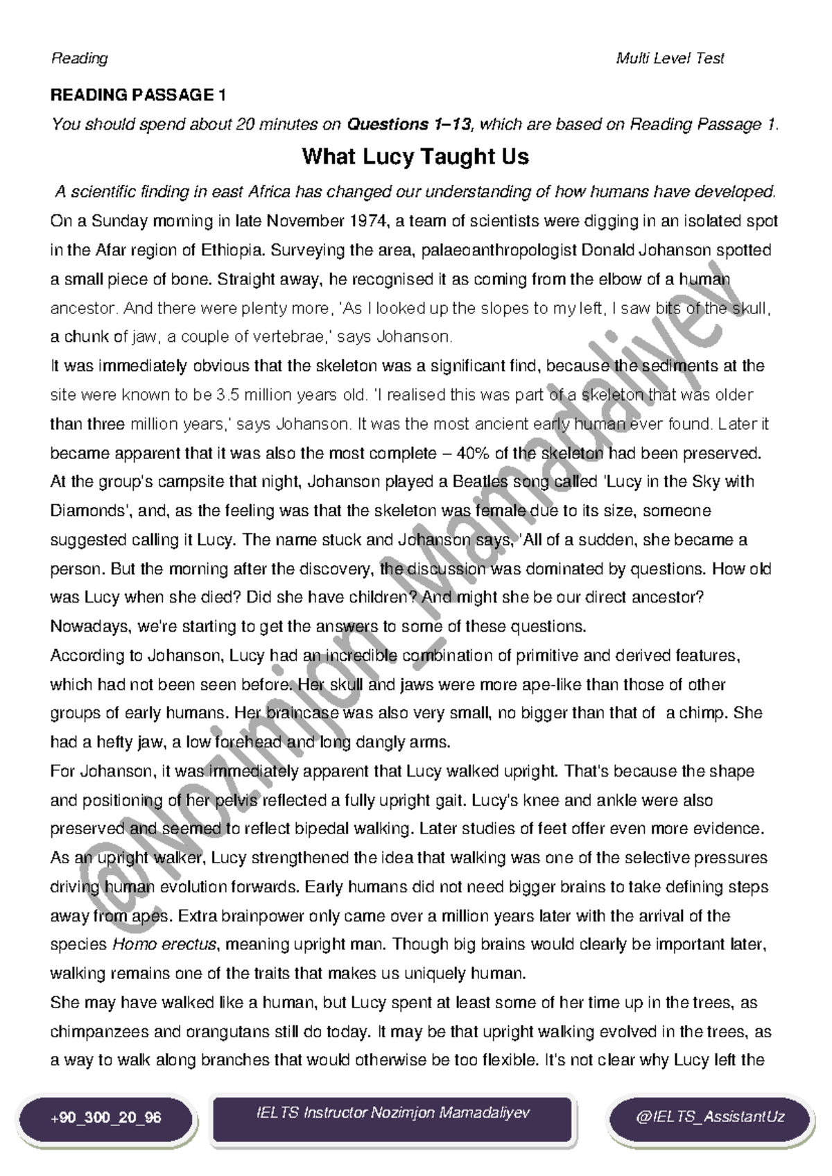 Questions 1 13, which are based on Reading Passage What Lucy Ta 2 ...