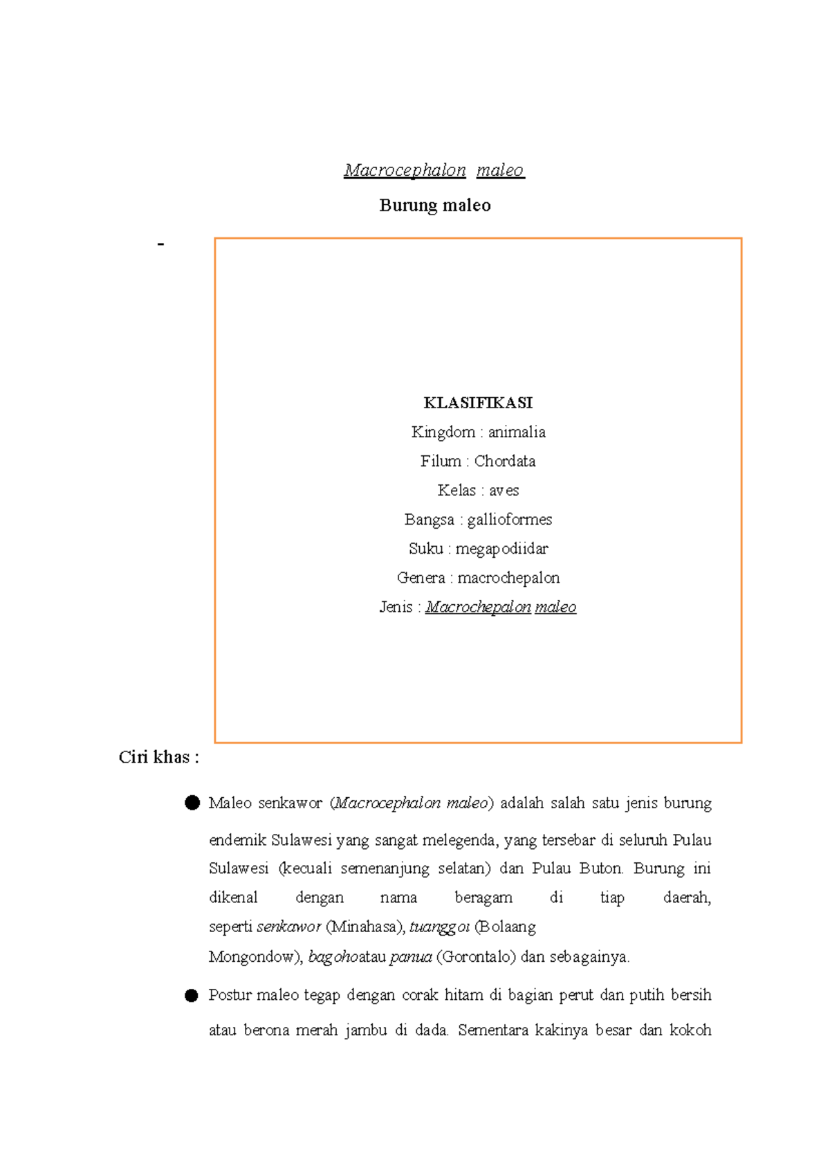 Klasifikasi Burung Maleo dan Dugong - Macrocephalon maleo Burung maleo ...