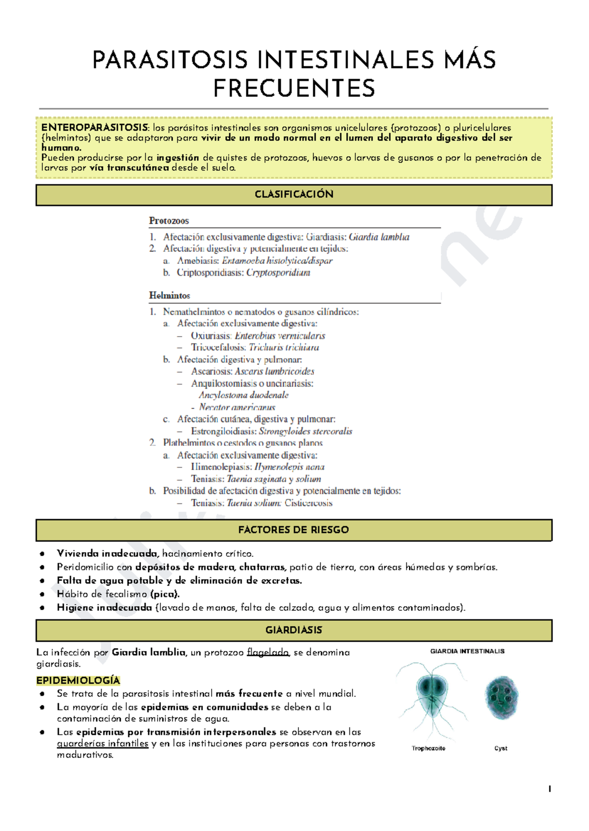 Parasitosis Intestinales - Julieta Leone PARASITOSIS INTESTINALES MÁS ...