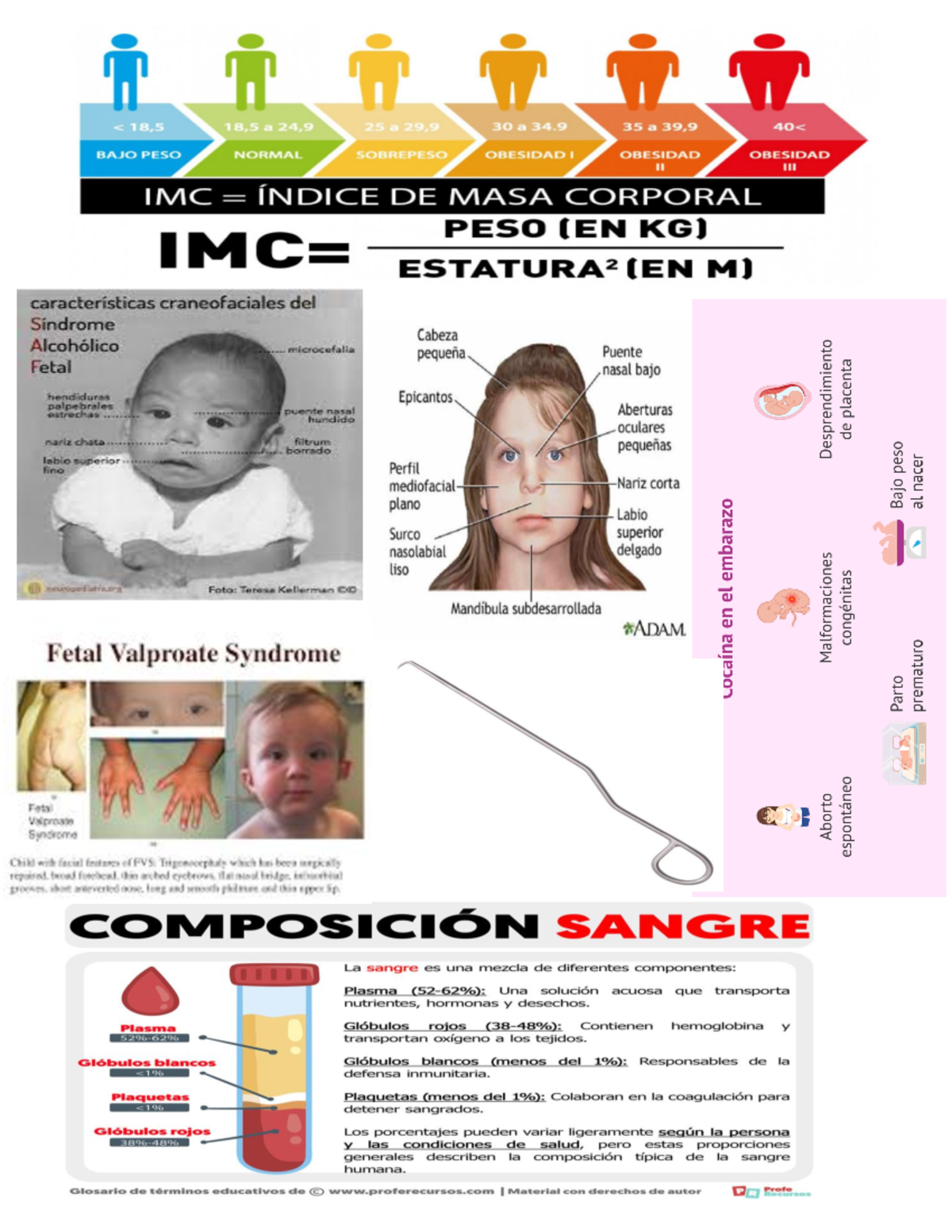 Gine 3 - gine - Ginecología y Obstetricia - Studocu