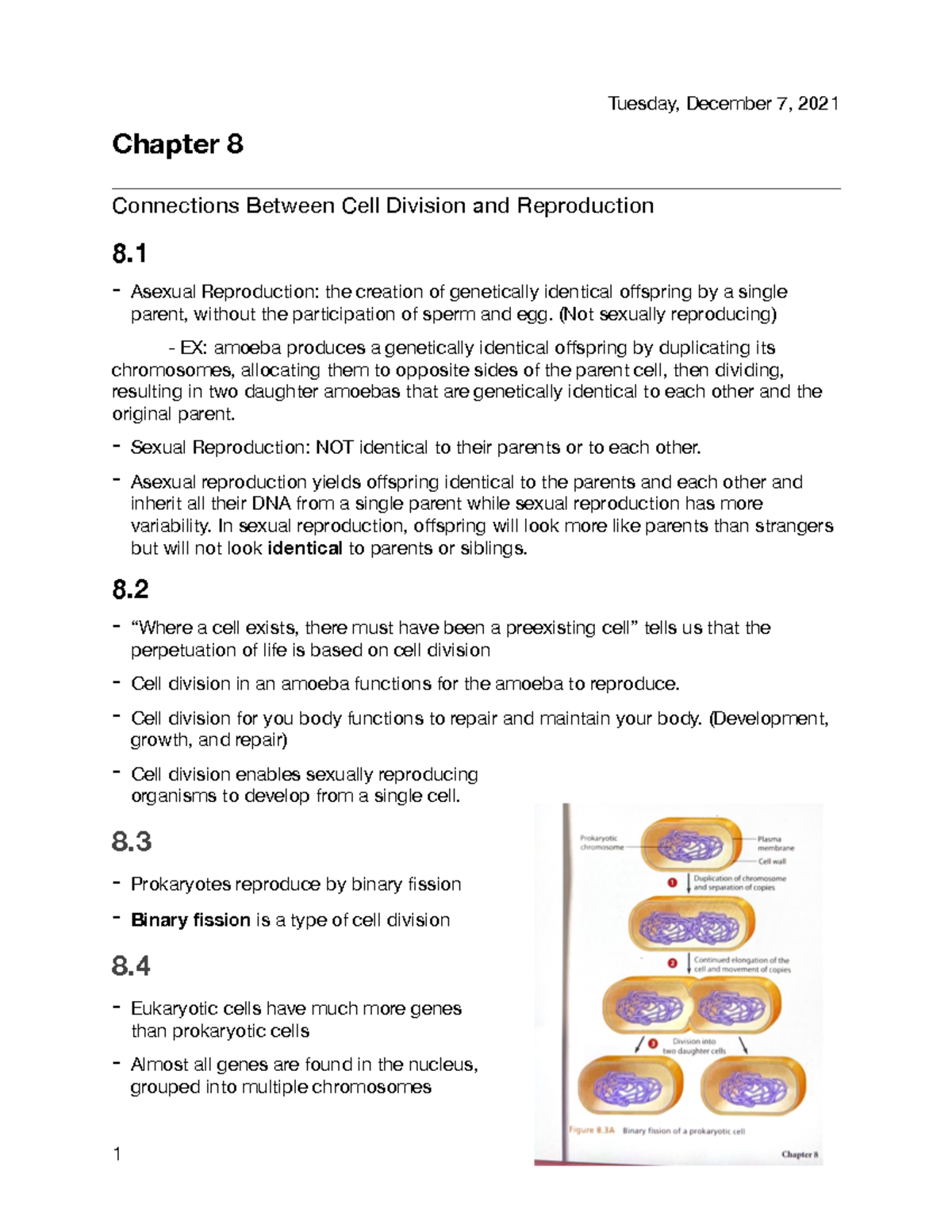 Bio notes - Chapter 8 Connections Between Cell Division and ...