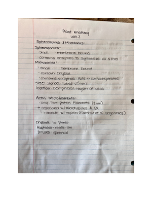 Botany - Lecture on Roots - BIOL 250 - Studocu