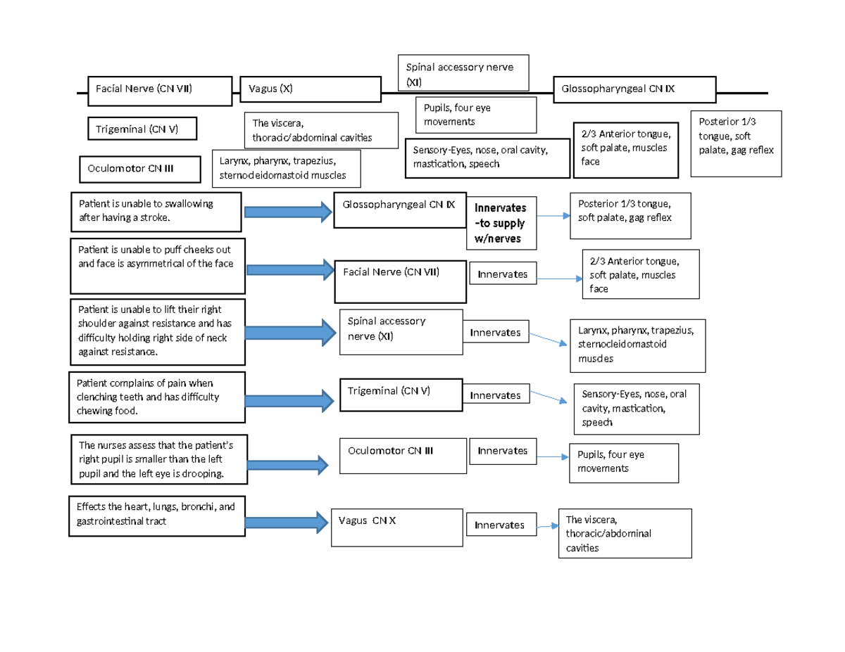 Cranial Nerve Concept Map Questions Answers No 2 - Patient is unable to ...