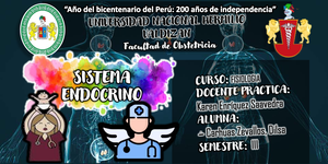 GUIA Hemooragia NO Varicela GUIA Europea unlocked - Endoscopic ...