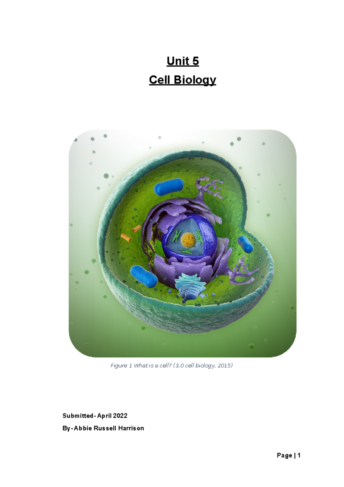 unit 5 Cell biology - PA13MR099U - Studocu