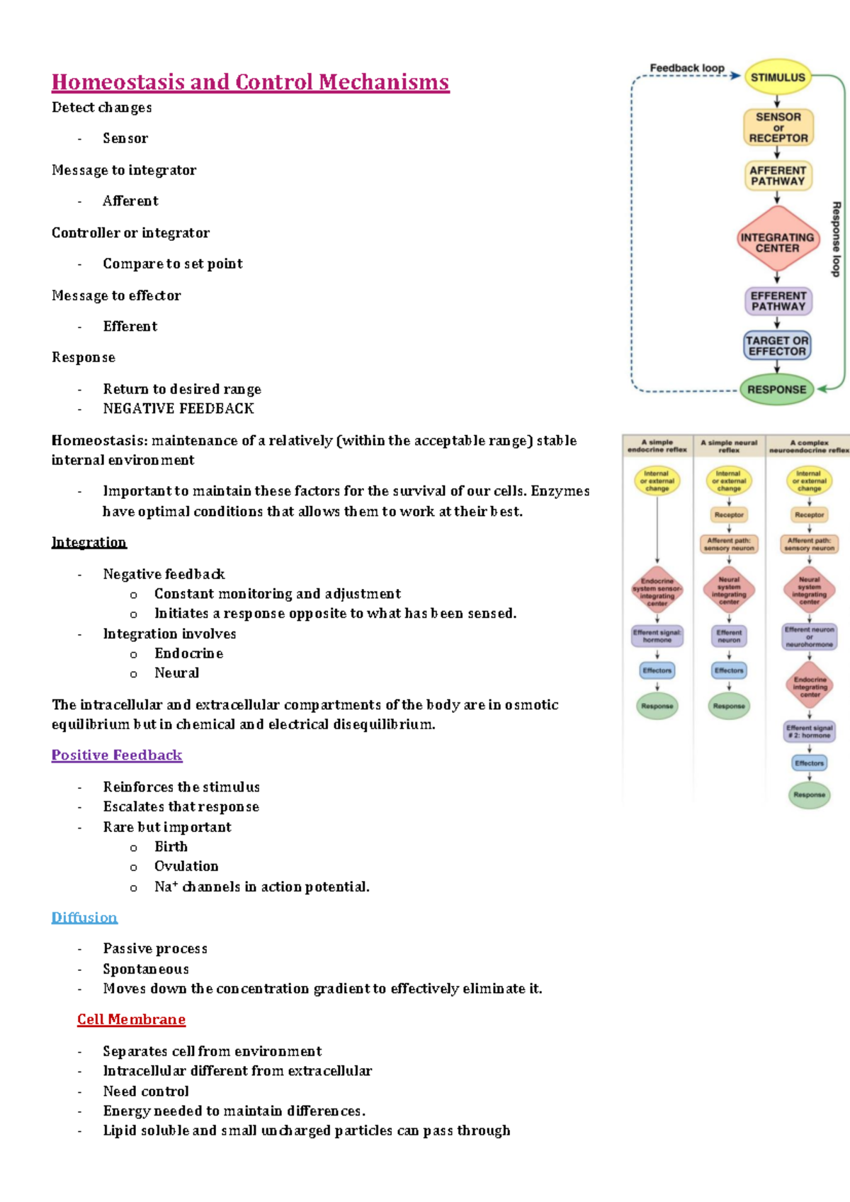 Lecture notes, lectures 2- 36 - From homeostasis to integrated ...