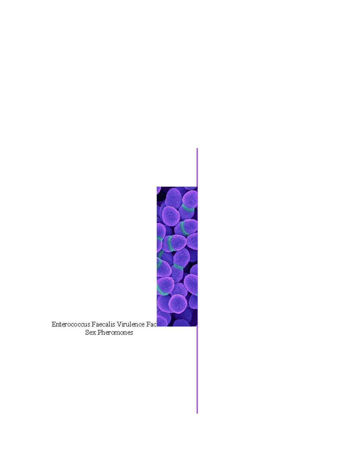 Assignment 2 - Enterococcus Faecalis Virulence Factor:Sex Pheromones According to Kayaoglu (2004 ...