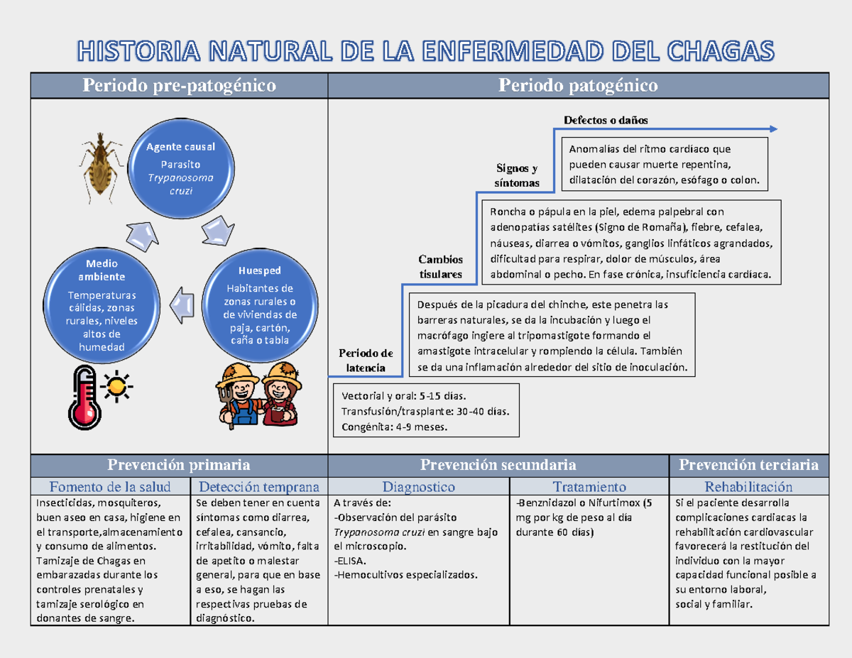 Chagas Y FQ - ..... - Periodo pre-patogénico Periodo patogénico ...