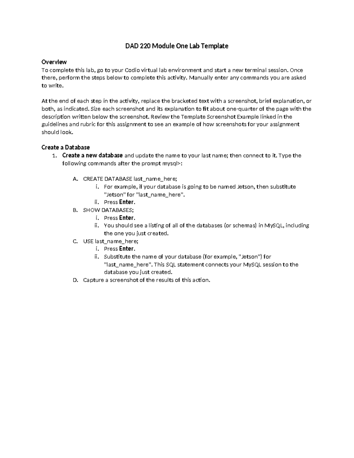 DAD 220 Module One Lab Template - DAD 220 Module One Lab Template ...