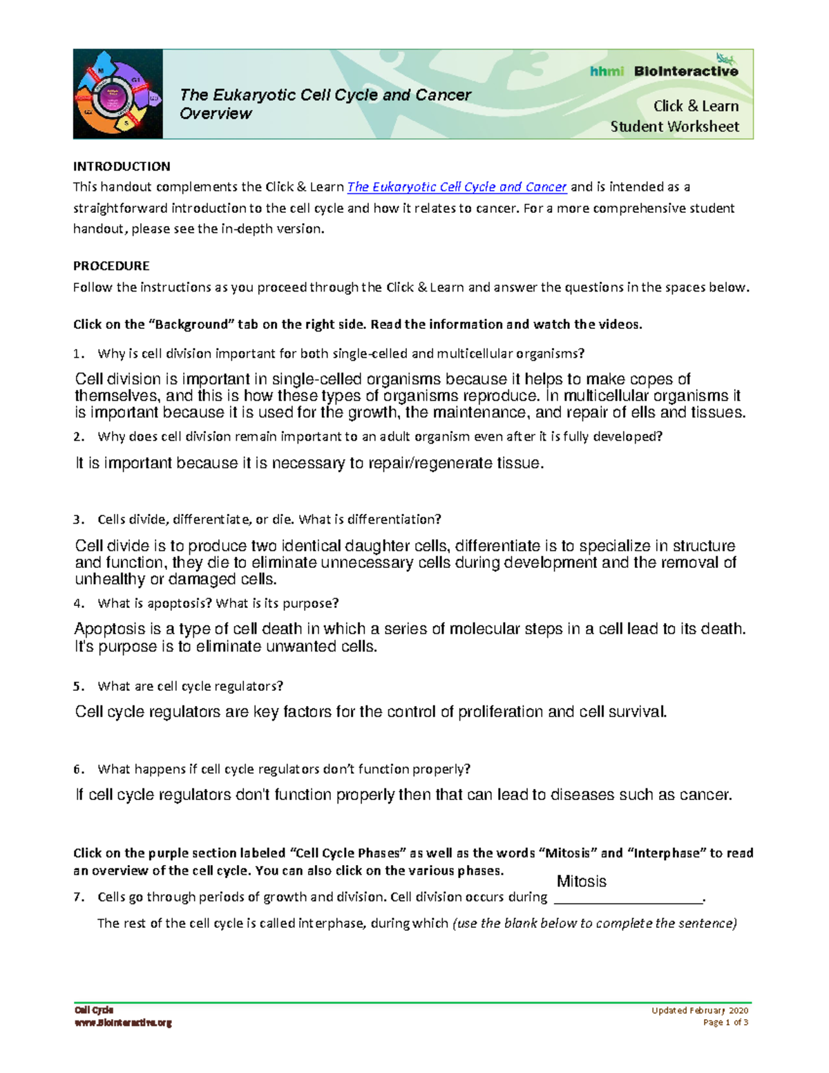 Cell Cycle and Cancer worksheet - Click & Learn Student Worksheet The ...