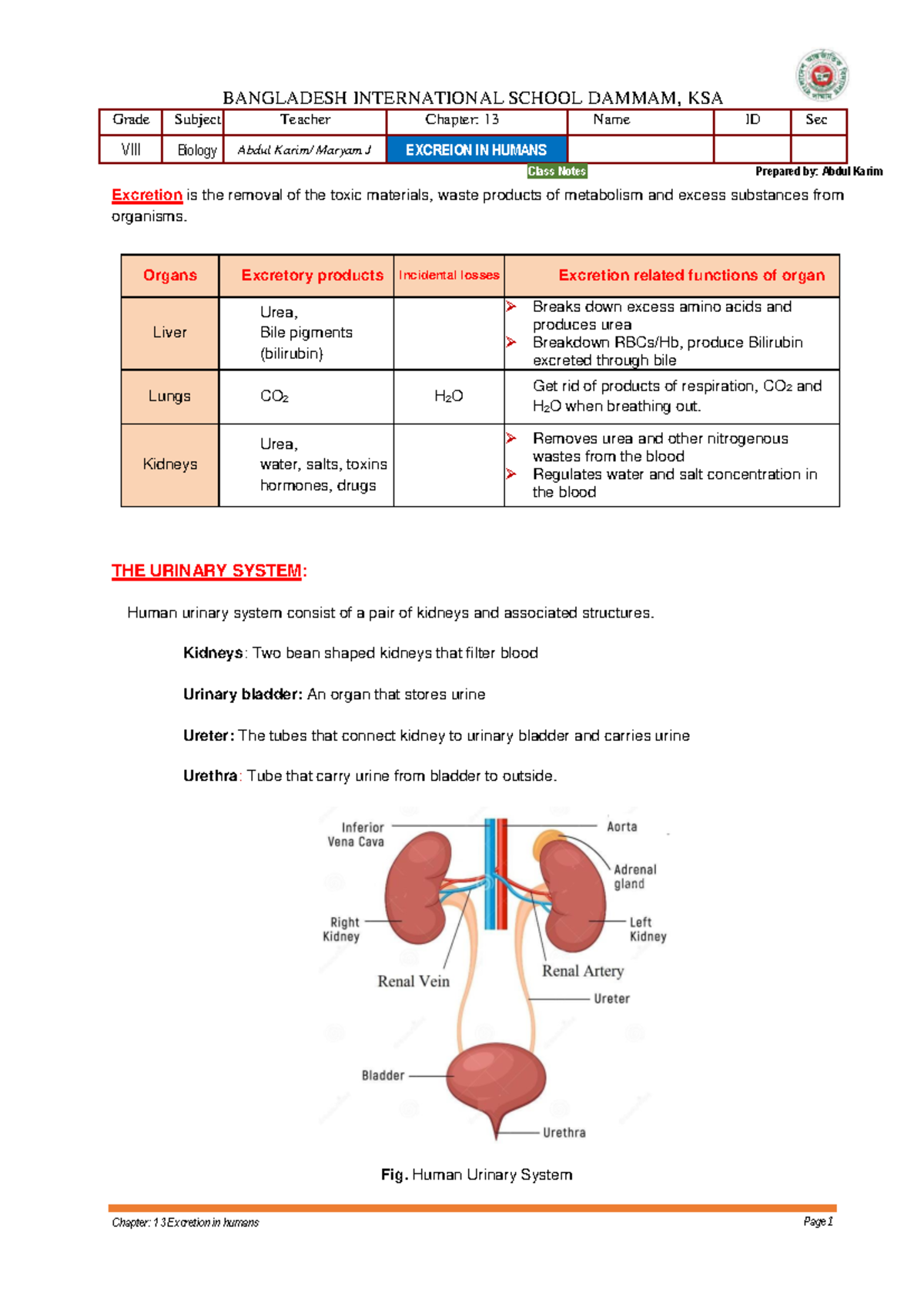 Excretion in humans VIII Notes - BANGLADESH INTERNATIONAL SCHOOL DAMMAM ...