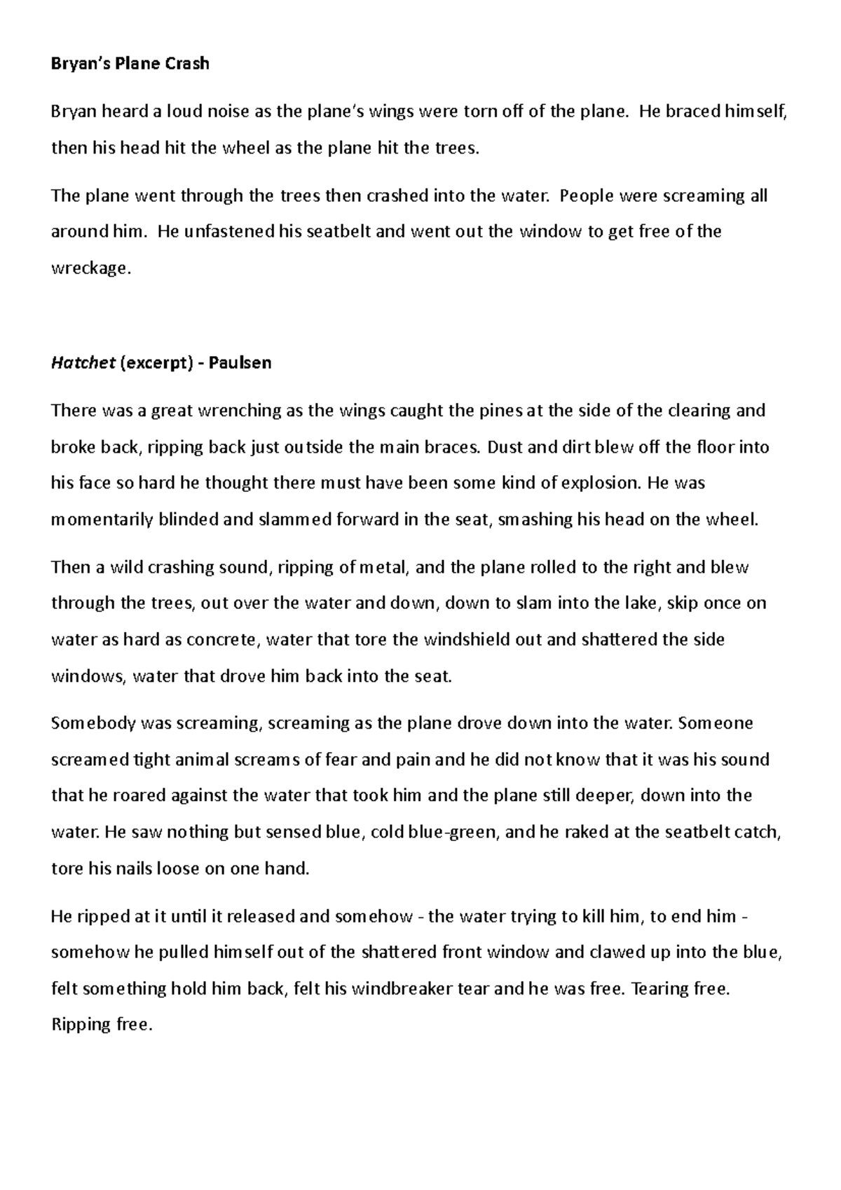 Bryan plane crash hatchet examples craft of writing to accompany ...