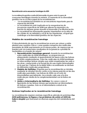 Ciclo Celular - TIPOS DE CÉLULAS Lábiles: Constantemente se renuevan ...