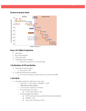 Chapter 1 notes - Homework - Math 200 Name Chapter 1: Introduction ...