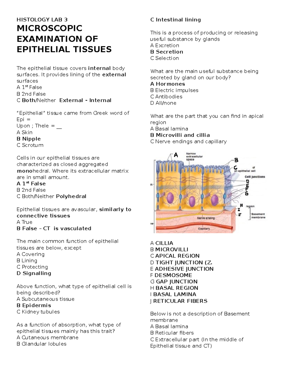 Histology LAB 2 ANS - reviEWER - HISTOLOGY LAB 3 MICROSCOPIC ...