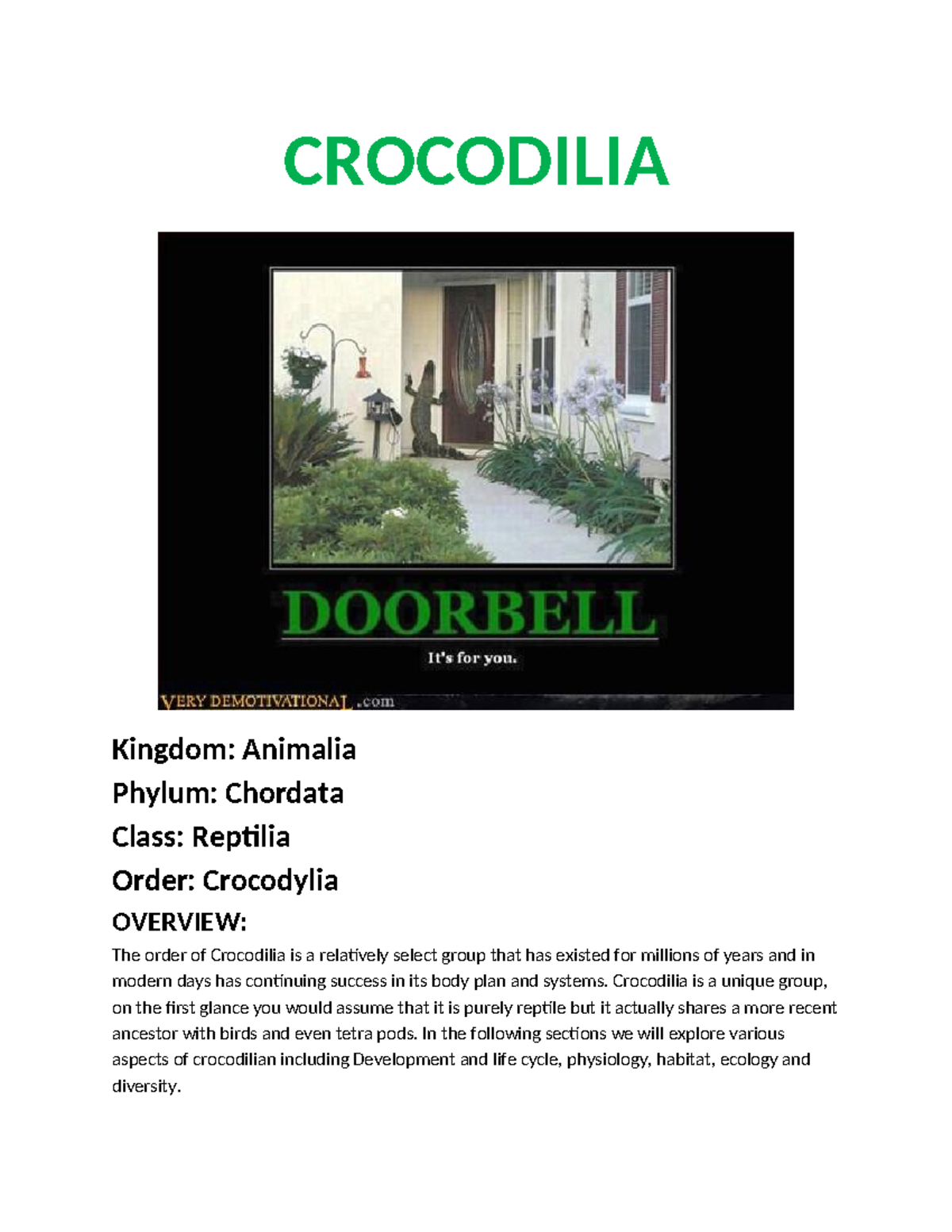 Crocodilia - Good - CROCODILIA Kingdom: Animalia Phylum: Chordata Class ...