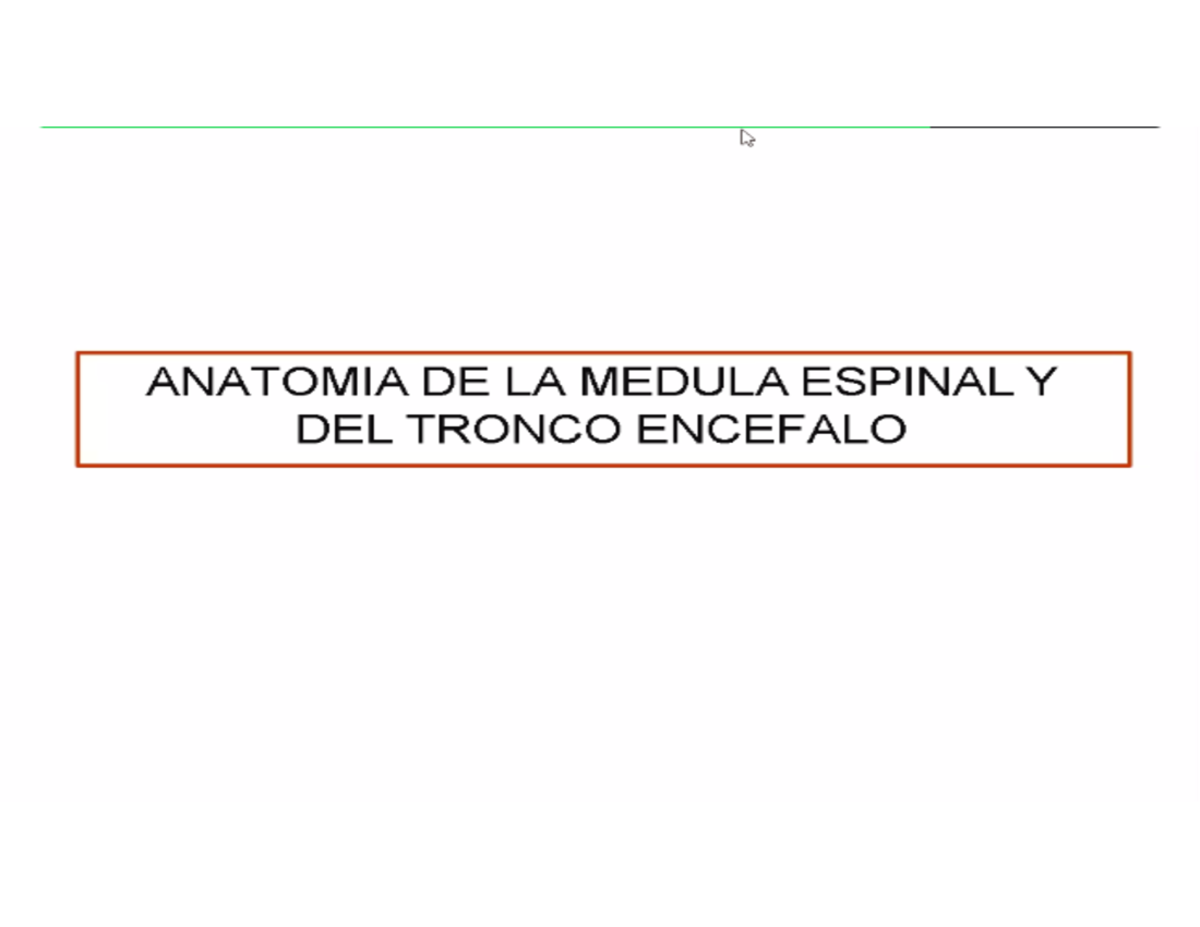 Clase Anatomia DE LA Medula Espinal Y Tronco Encefalico 18 10.pdf - anatomia - Studocu