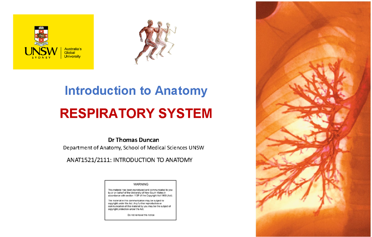 Respiratory system - Introduction to Anatomy ####### RESPIRATORY SYSTEM ...