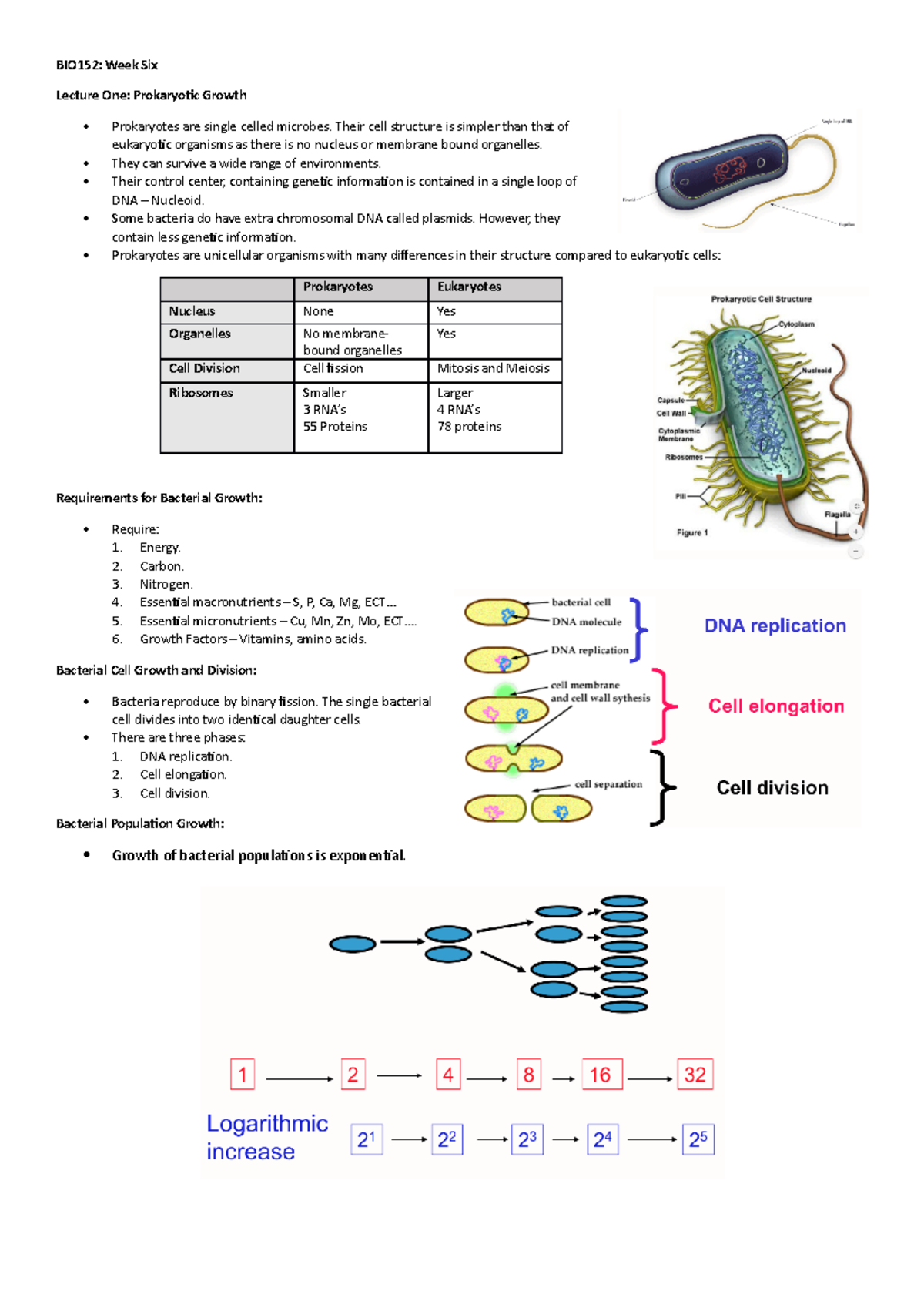 BIO152 W6 - Lecture notes 6 - BIO152: Week Six Lecture One: Prokaryotic ...