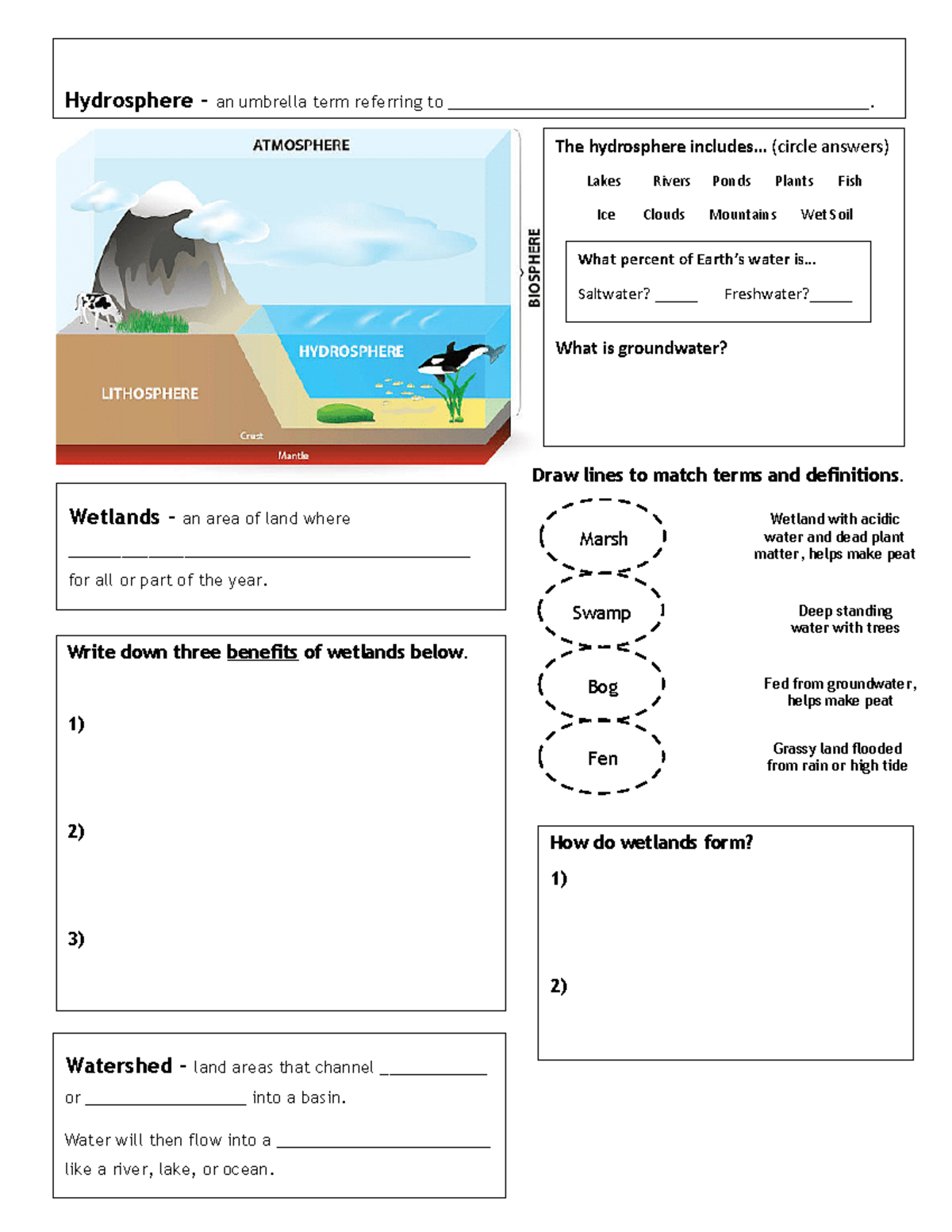 Wetland/Watershed Notes - Marsh Swamp Bog Fen Wetlands – an area of ...