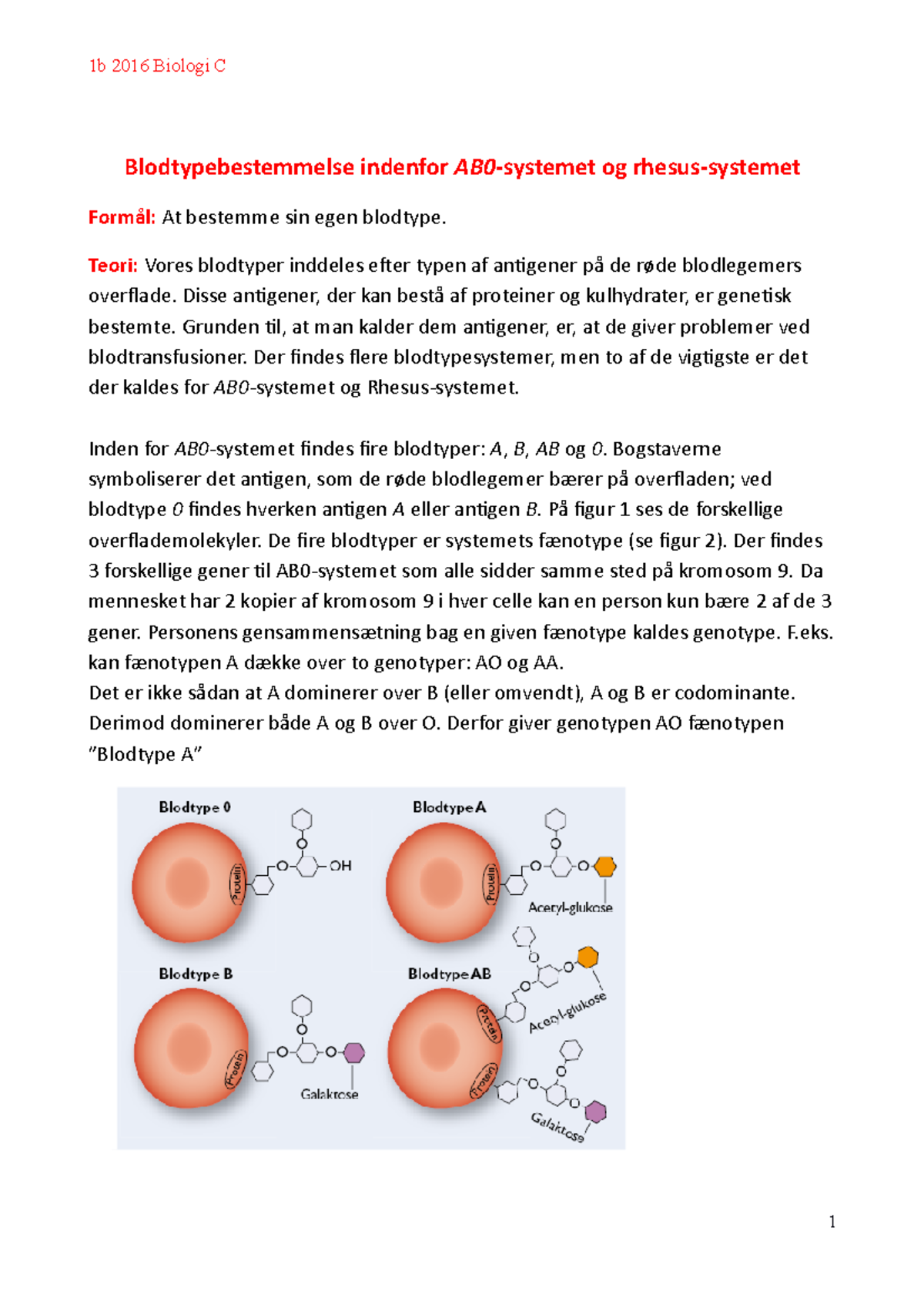 Blodtype Bestemmelse - noter - Blodtypebestemmelse indenfor AB0 ...