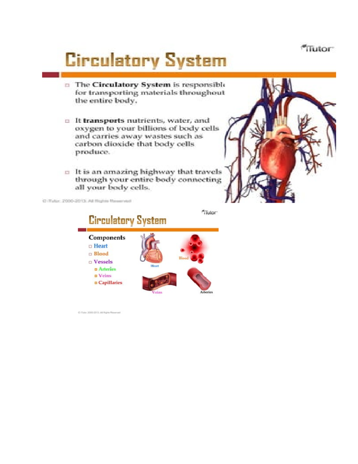 WEEK-2 - First aid - Medical Laboratory Science - Studocu