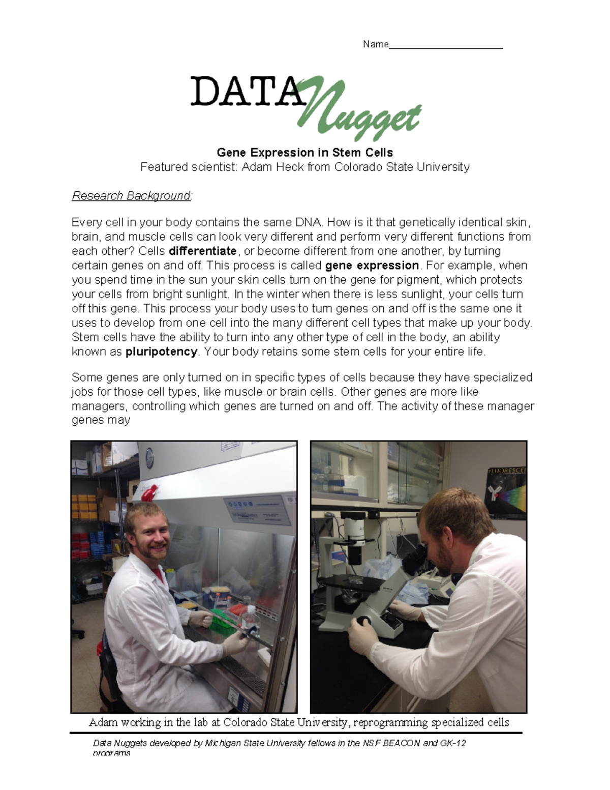 Stem-Cell-Gene-Expression Student A - Data Nuggets developed by Michigan State University ...