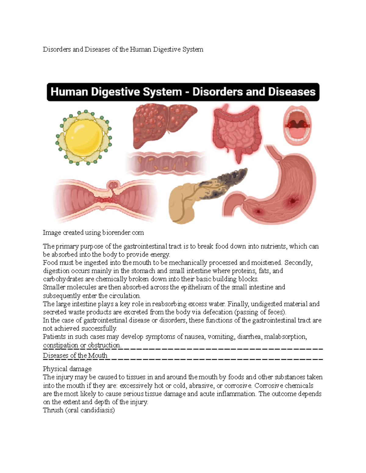 Disorders and Diseases of the Human Digestive System - Food must be ...