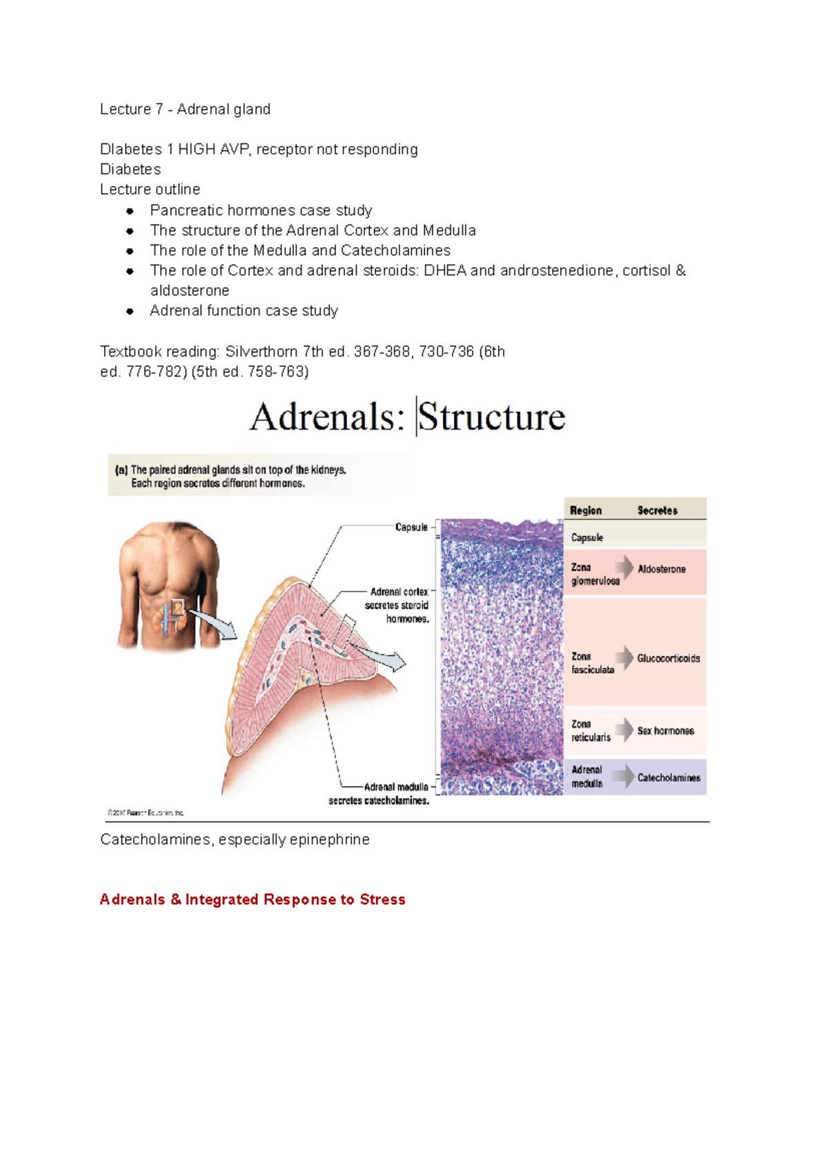PSL300 UTSG Part1 Endocrinology Lecture 7 - Adrenal gland - Lecture 7 ...