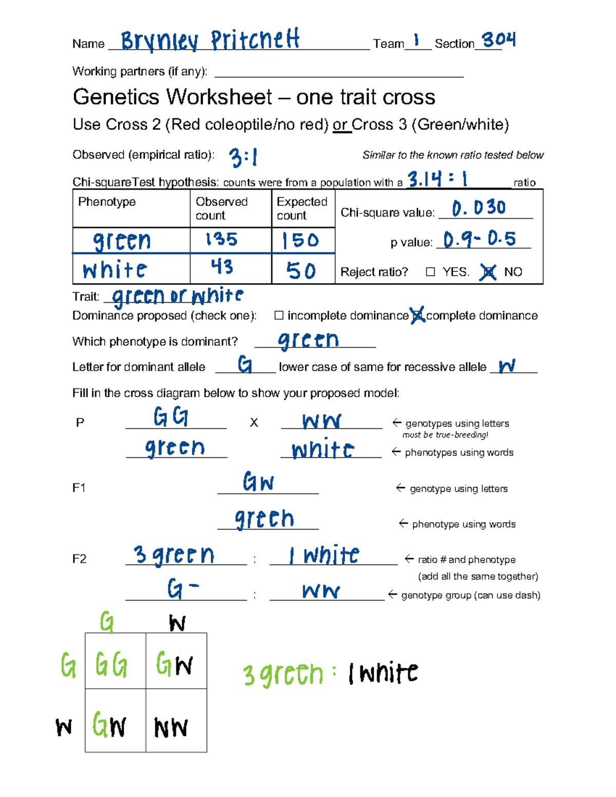 Genetics Worksheet - plant bio - Name ...
