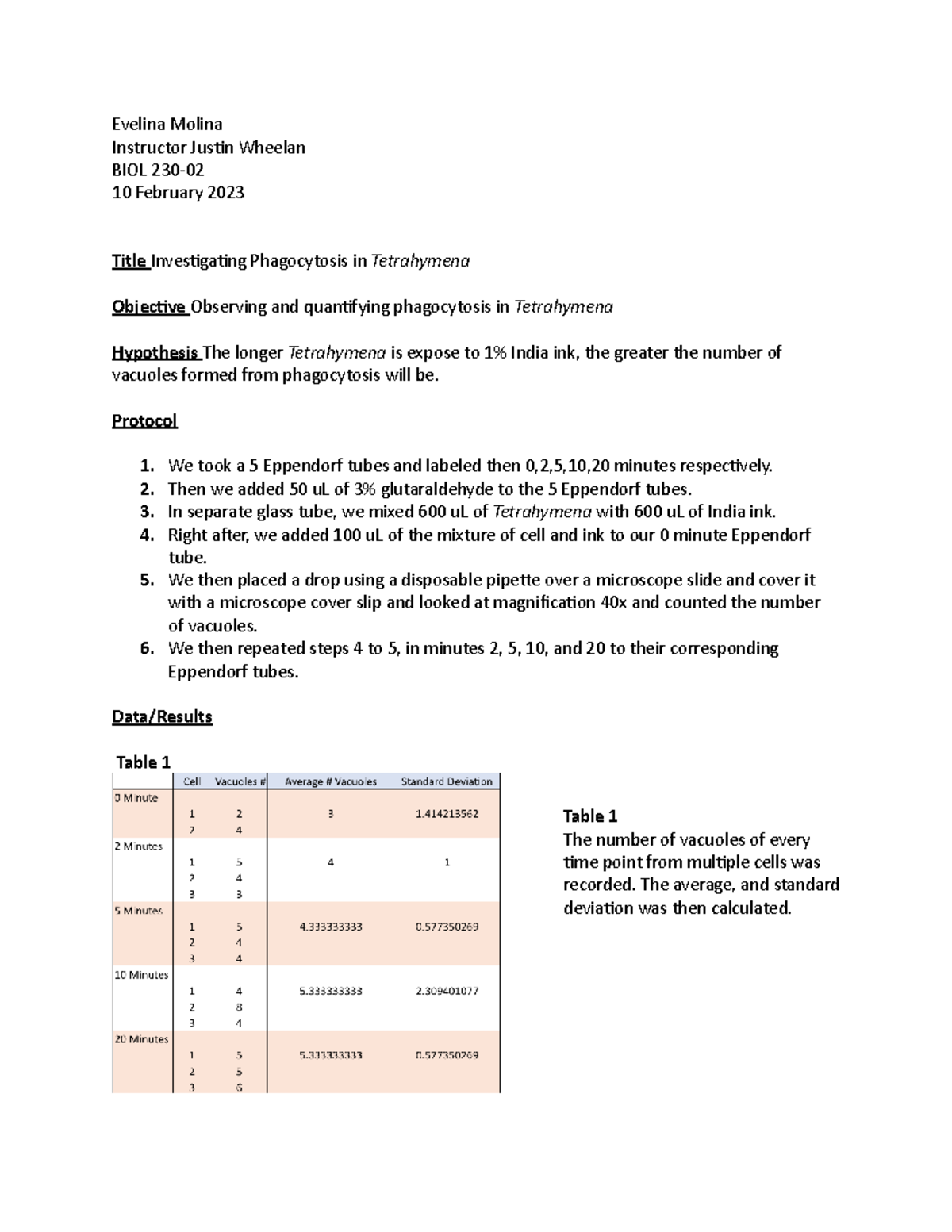 Phagocytosis in Tetrahymena Lab Report - Evelina Molina Instructor ...