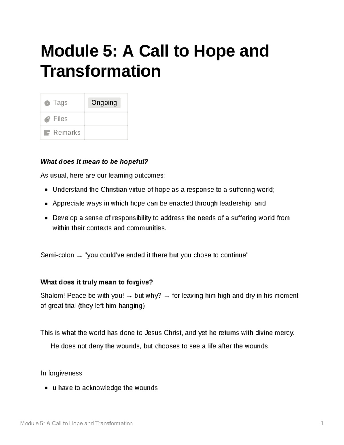 Module 5 A Call to Hope and Transformation - Semi-colon → "you could've ...