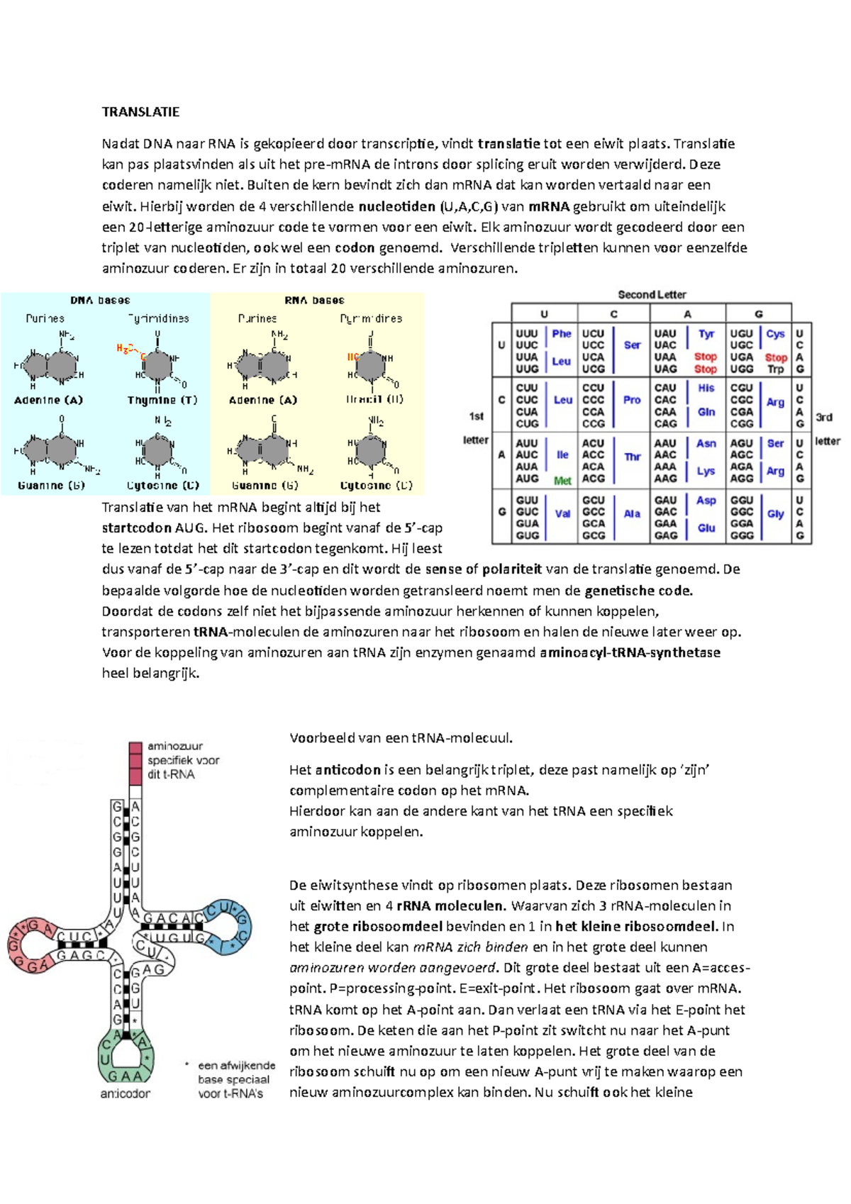 Translatie - TRANSLATIE Nadat DNA naar RNA is gekopieerd door ...