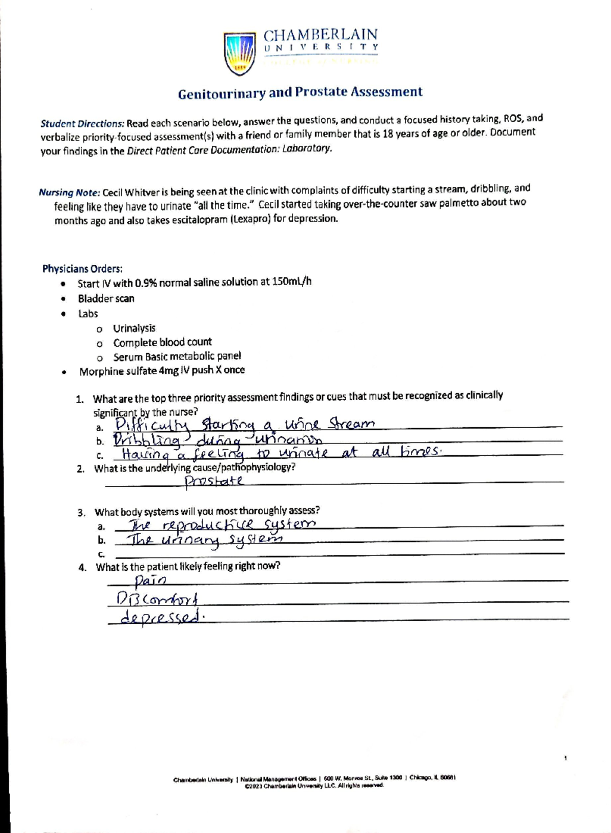 Genitourinary and Prostate Assessment one - Document your findings in ...