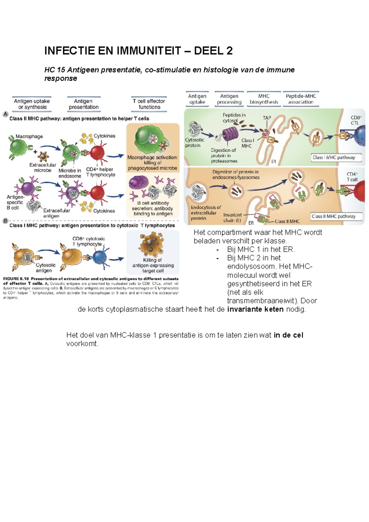 Infectie EN Immuniteit deel 2 - INFECTIE EN IMMUNITEIT – DEEL 2 HC 15 ...