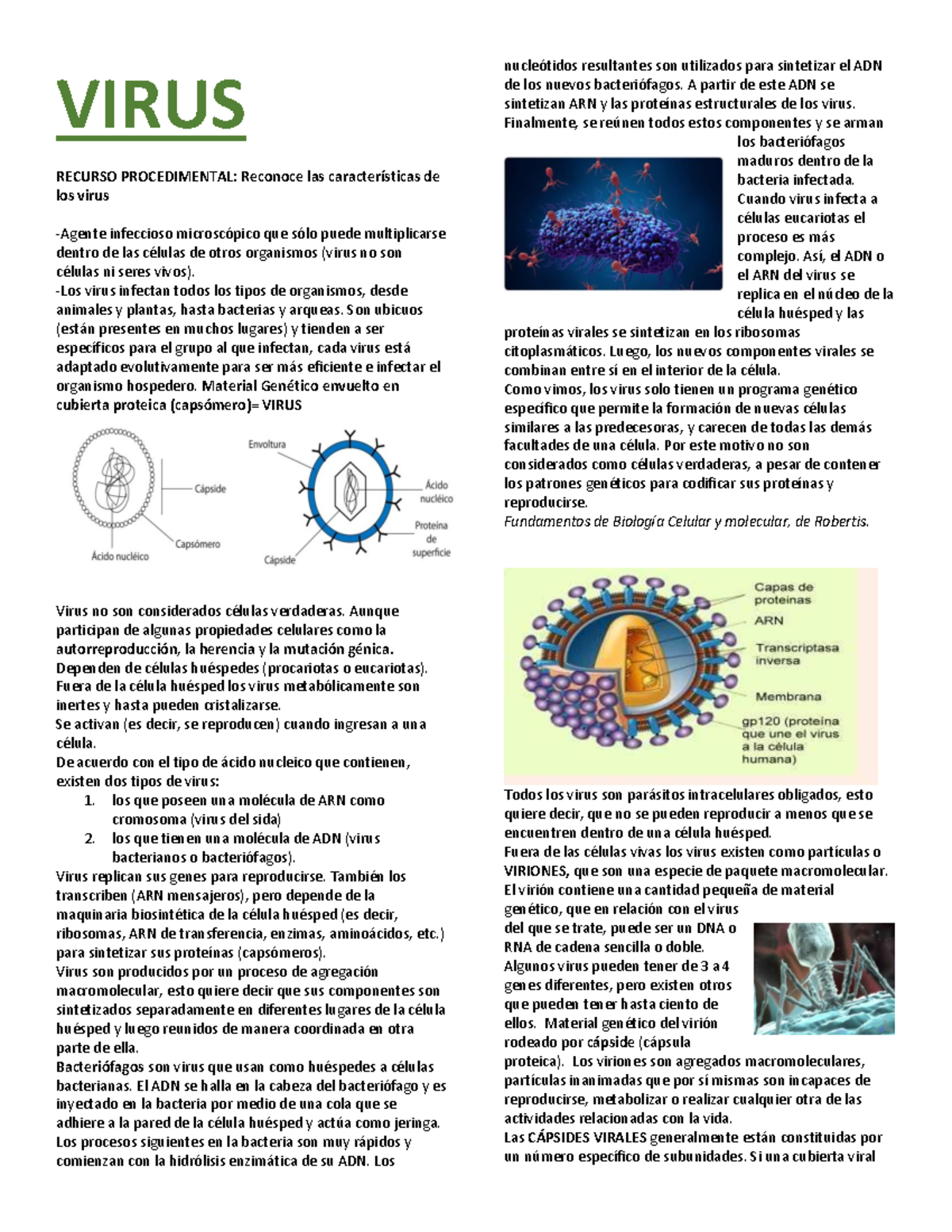 Características de los Virus - Warning: TT: undefined function: 32 Warning: TT: undefined ...