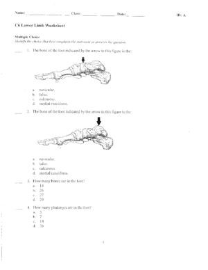 What are the 4 types of Body Habitus and their percentages in the general population - They ...