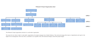 Project Organization Chart DroneTech - DroneTech is a ‘Strong-Matrix ...