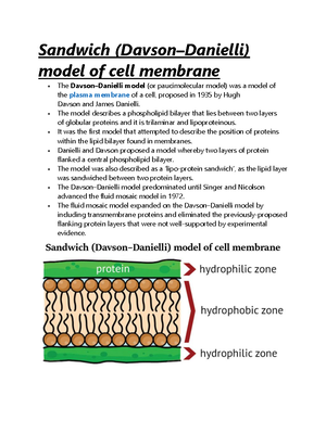 Sandwich (Davson–Danielli) model of cell membrane - StuDocu