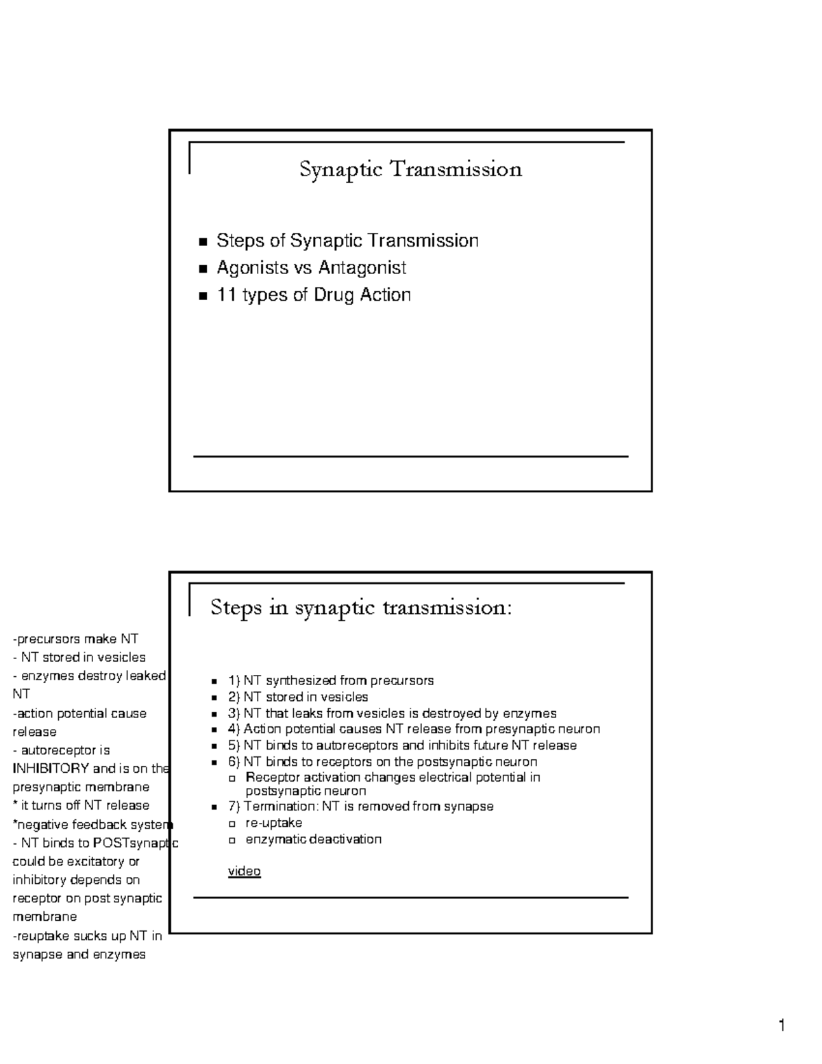 Synapses and Drugs jan 16 tues - Synaptic Transmission Steps of ...