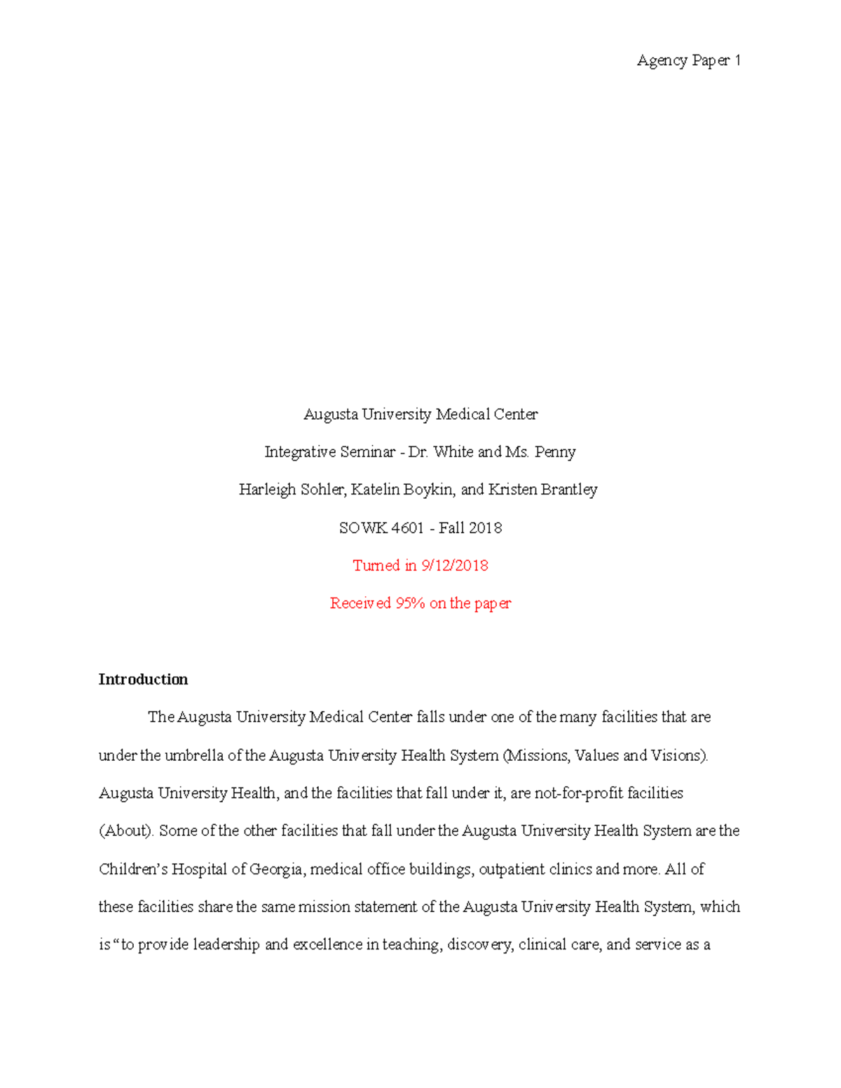 Copy of Seminar Paper - Example of how to conduct an agency overview ...